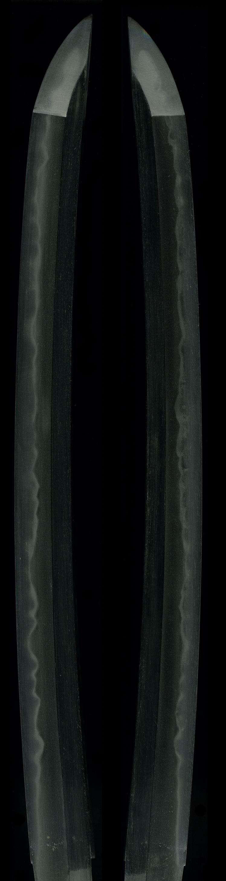 Japanese Sword - Wakizashi - Signed Kozuke Daijo Sukesada w/ Koshirae